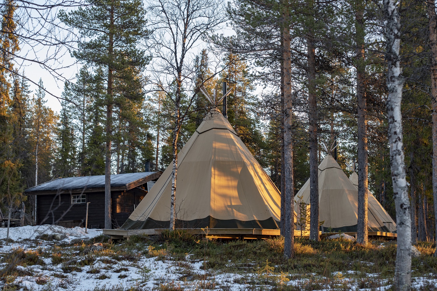 Sapmi Nature Camp | Sweden | Where The Wild Is Travel
