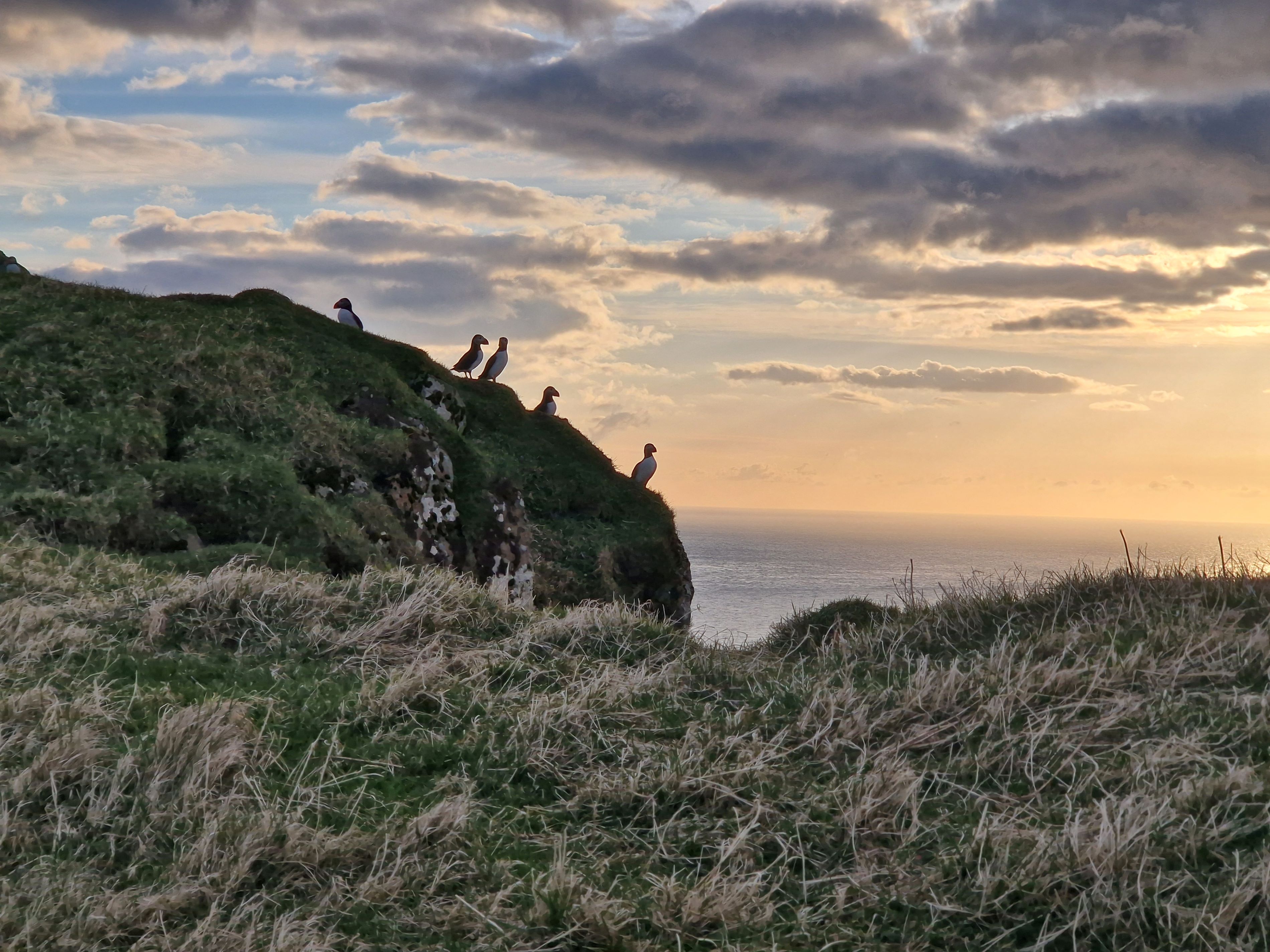 Faroe Islands Holidays & Experiences | Where The Wild Is Travel