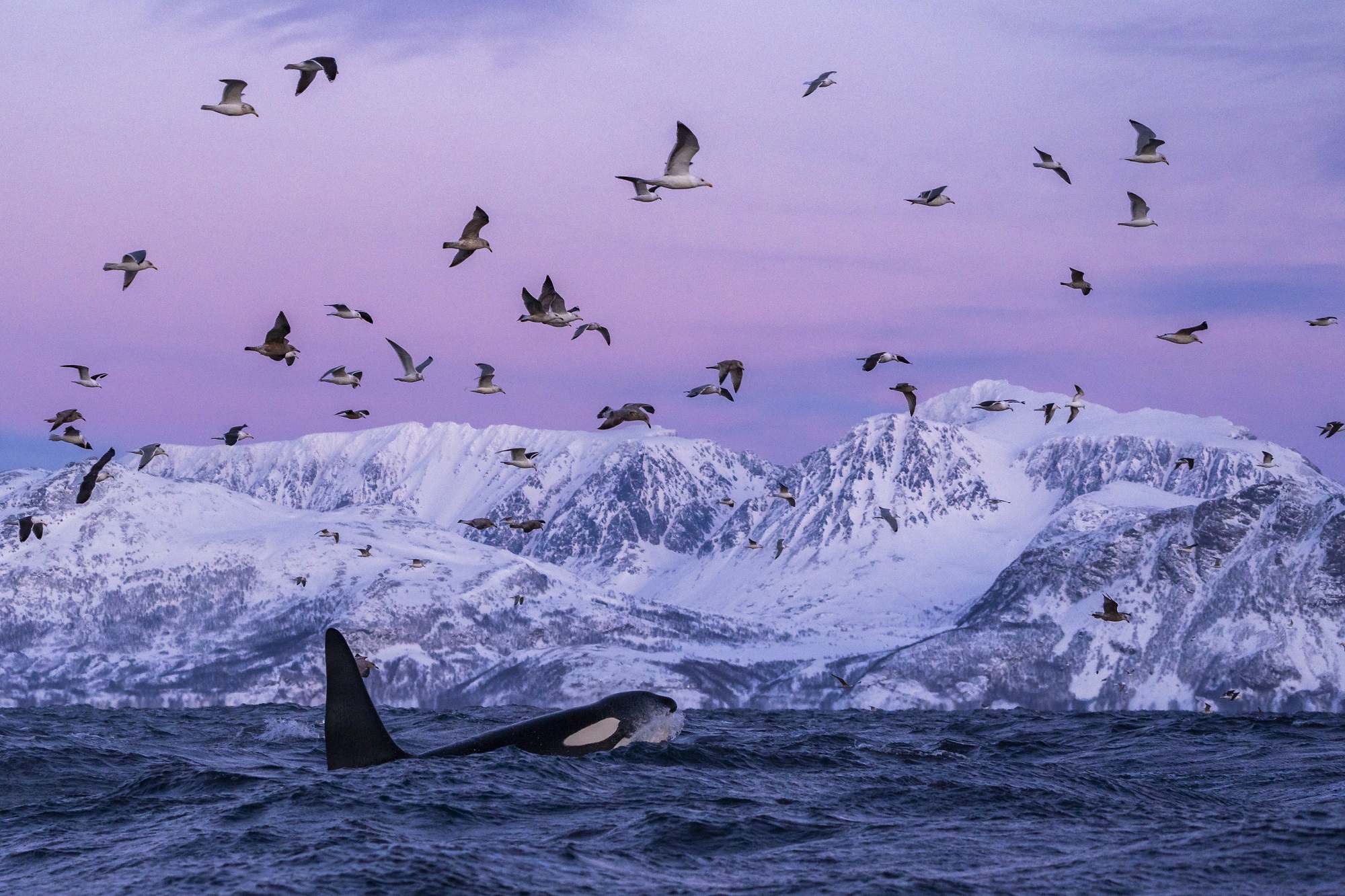Norway Holidays & Experiences | Where The Wild Is Travel