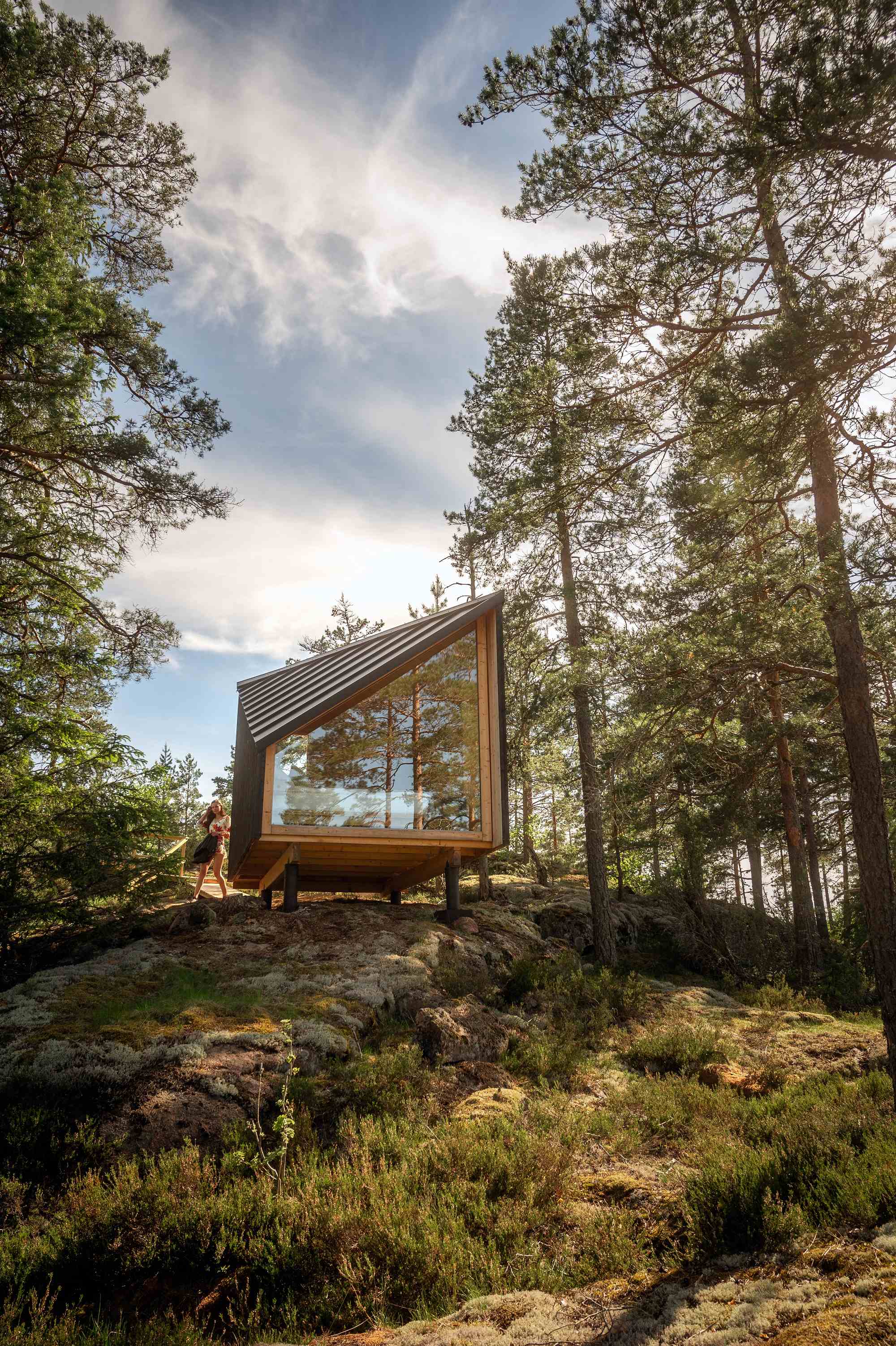 Hilltop Forest | Finland | Where The Wild Is Travel